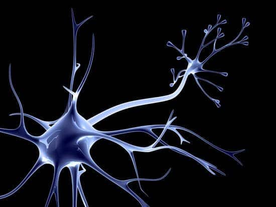 Dendritic Cell Therapy: Personalized Immune Boost For Cancer