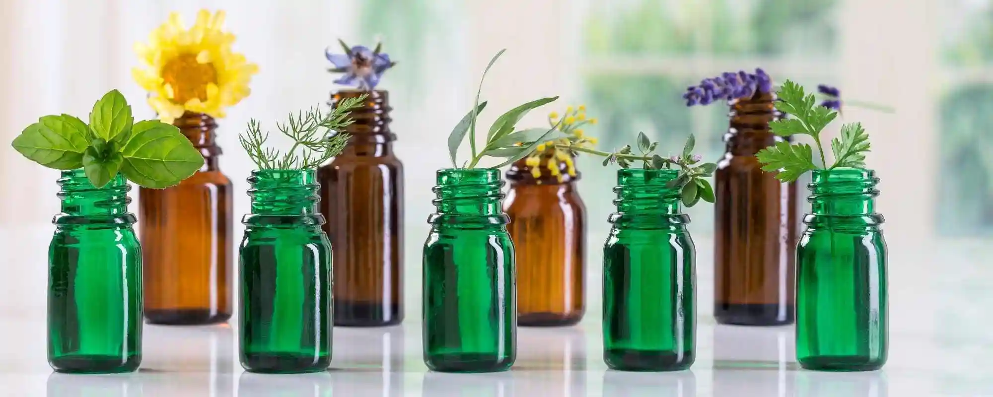 Phytotherapy For Cancer | Benefits, Risks & Treatment Uses